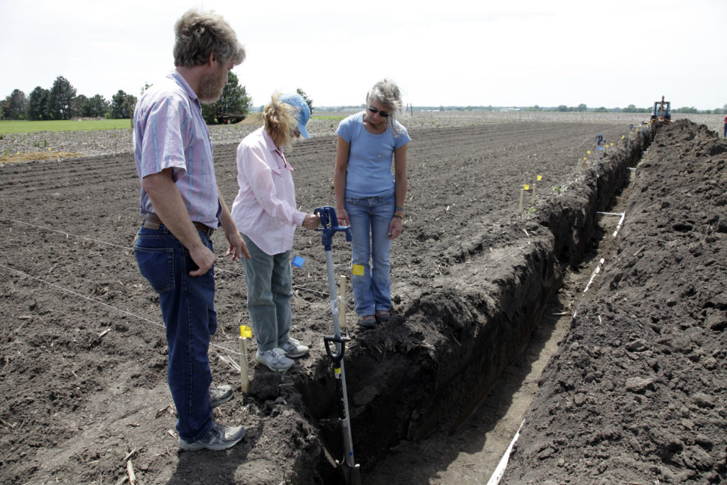 KU plant research takes root in garden | News, Sports, Jobs - Lawrence ...